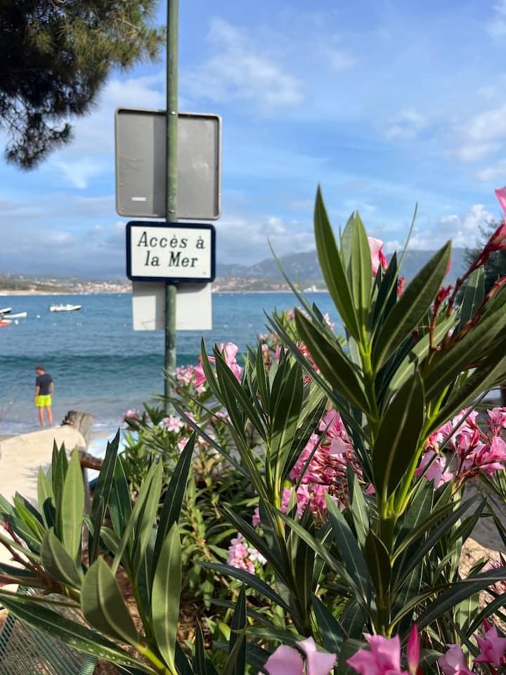 Cabanon Du Pêcheur - Serra-di-Ferro