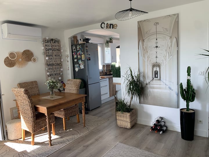 Appartement Lumineux à Blagnac. - Blagnac