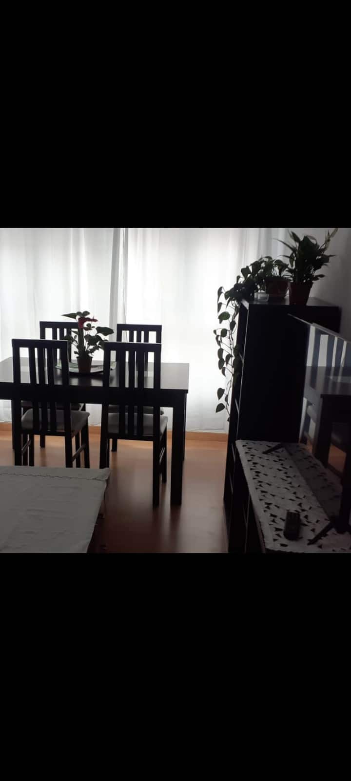 Piso Acogedor Y Económico, Playas,acuario Y Centro - Gijón
