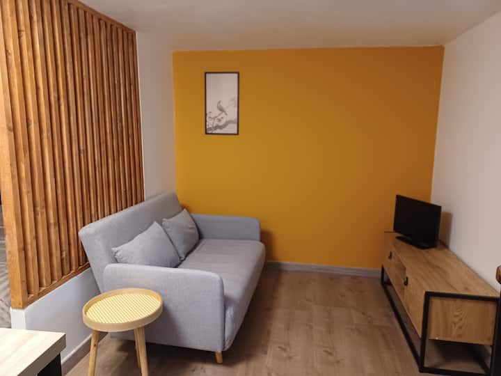 Studio En Rez De Jardin Proche Orly - Vigneux-sur-Seine