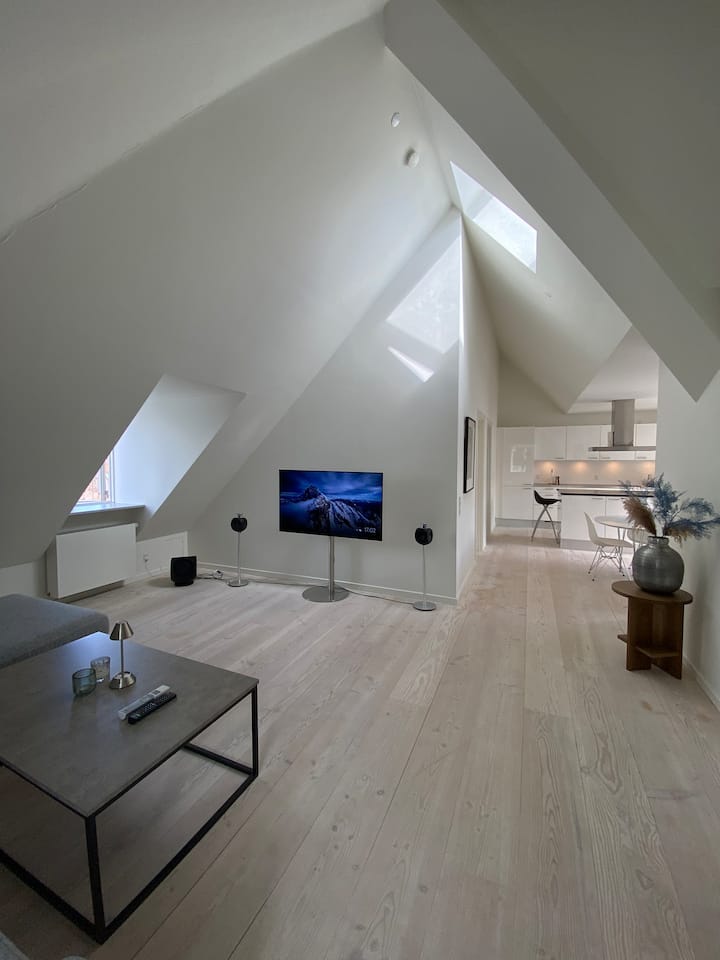 Taglejlighed M. Altan I Centrum - Aarhus