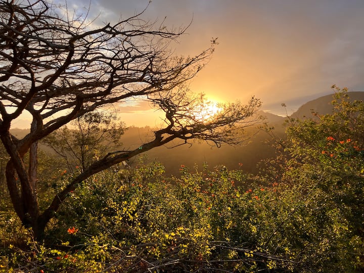 Valley View Suite In Hoekwil - Wilderness