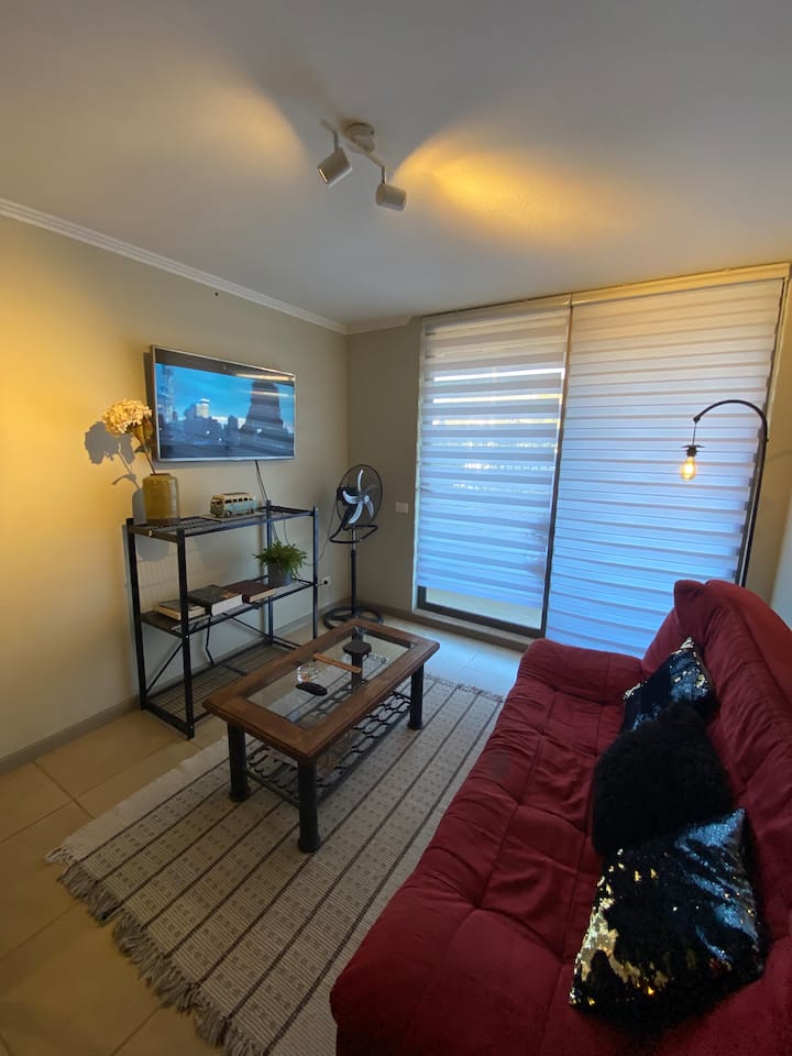 Depto 6 Personas En Condominio - Los Andes