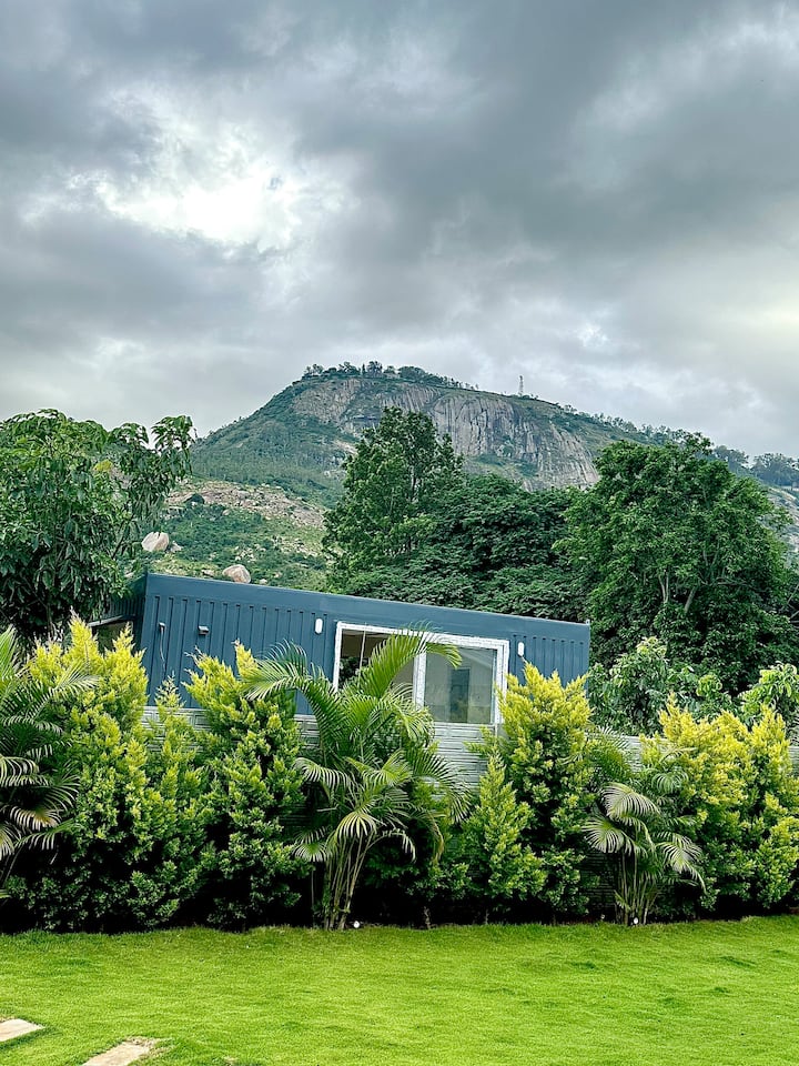 Willows Cabin - Nandi Hills