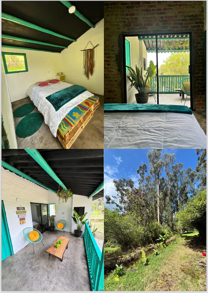 Bosque Turqasa - Tabio