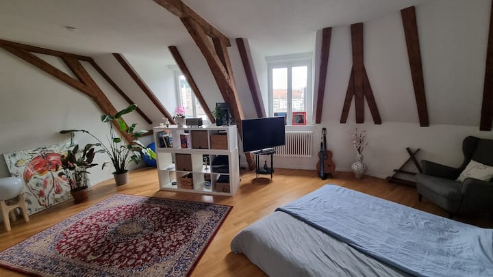 Escher-wyss-platz Attic Flat - Zürich