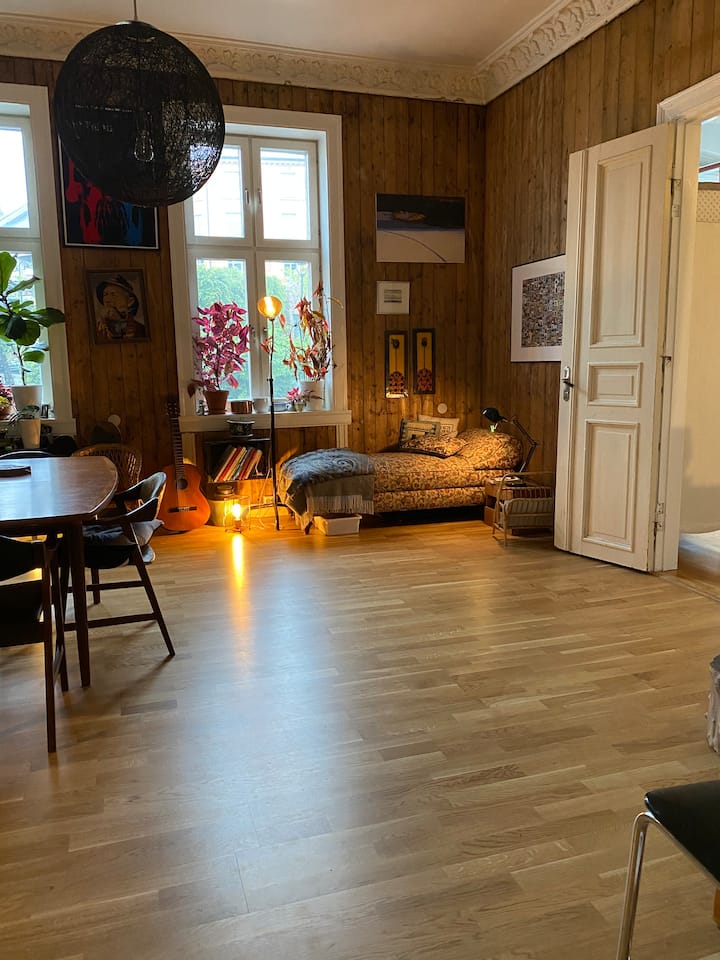 Leilighet Sentralt I Sentrum Av Oslo - Oslo