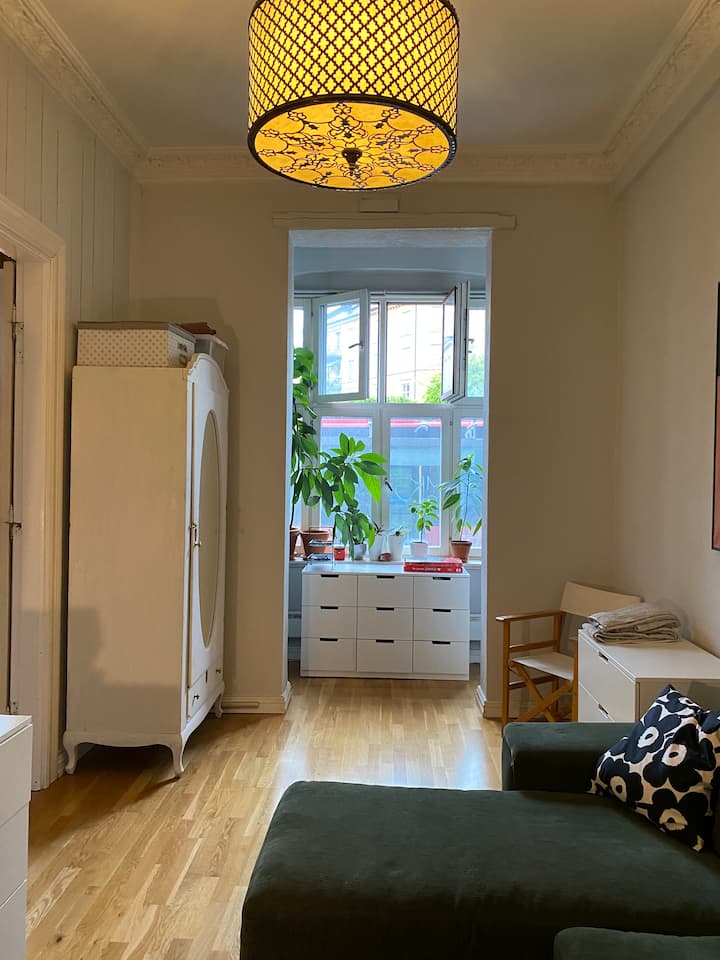 Leilighet Sentralt I Sentrum Av Oslo - Oslo