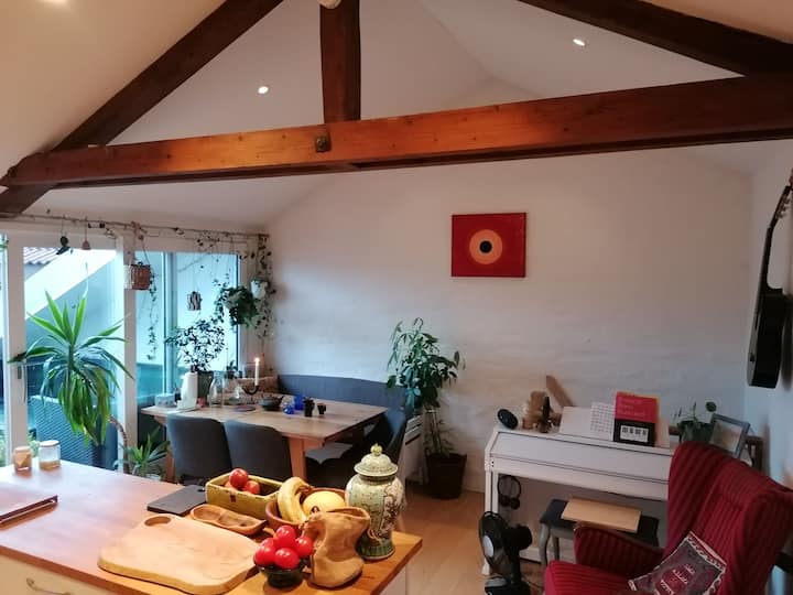 Veldig Hyggelig Toppleilighet Med Takterrasse - Oslo