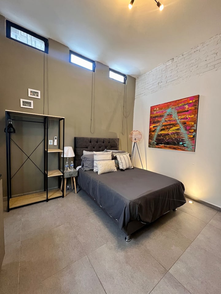 Hermoso Loft Polanco 12 - San Luis Potosi