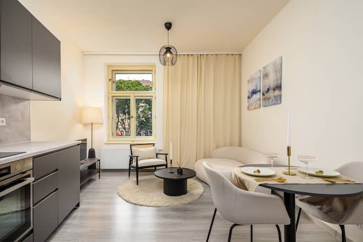Spacious Artistic Apt In Prague City Center - Prague