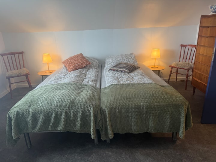 Værelse Med Havudsigt - 法羅群島