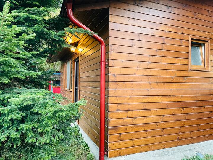 Pensiunea Ioana Family Bungalow - Borșa