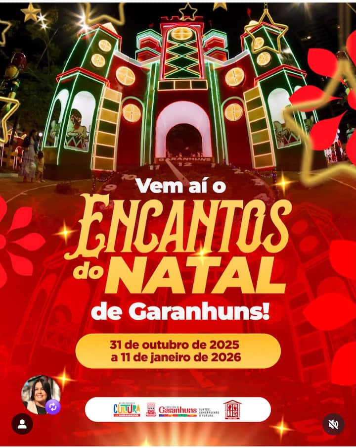 Alugo  Para Encantos Do Natal E Eventos Em Geral - São João