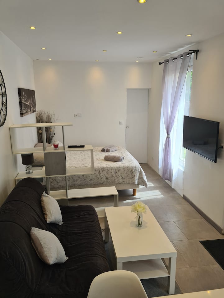 Maison Proche Roissy Cdg/disney/asterix/paris - Villeparisis