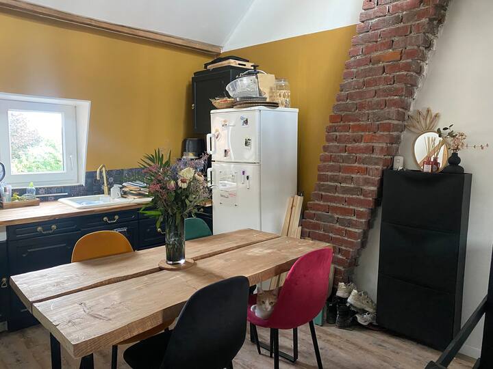 Appart Mezzanine Netflix & Wifi - Roubaix