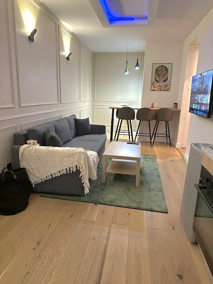 Chic & éLégant - ibis budget Lyon Villeurbanne