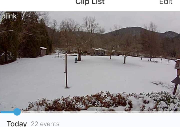 Welcome To Bluebird Hollow… - Jersey Shore, PA