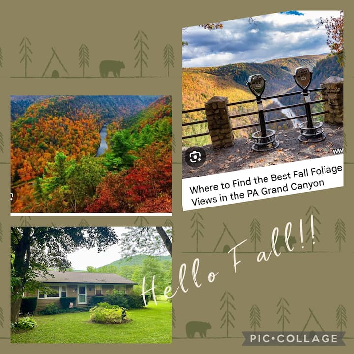 Welcome To Bluebird Hollow… - Tiadaghton State Forest, Jersey Shore