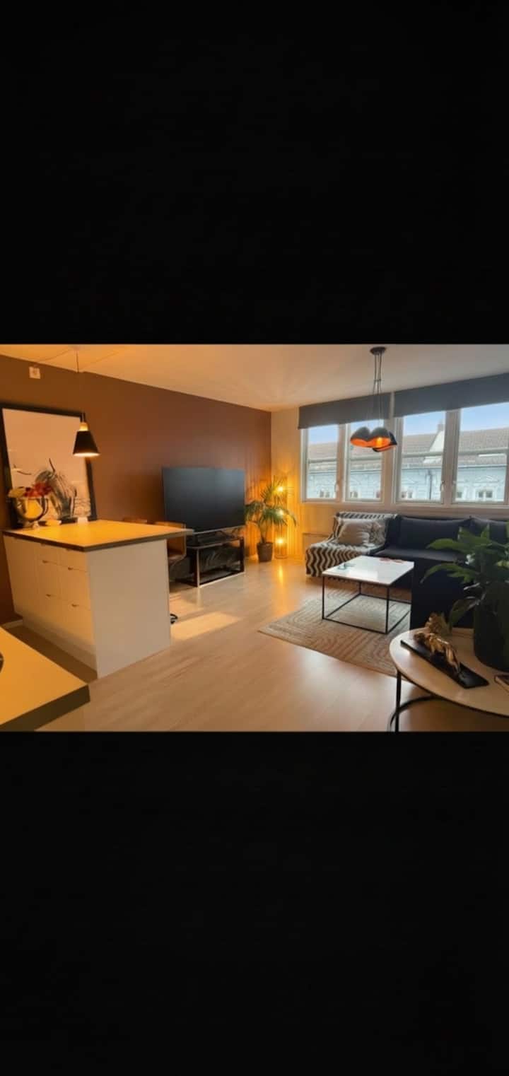 Top-floor Apartment | Grünerløkka | 50m2/539ft2 - Oslo