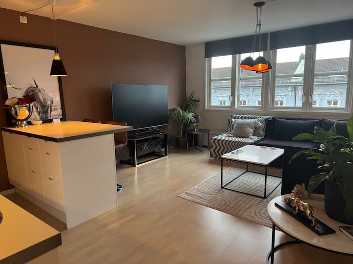 Toppleilighet Midt På Grünerløkka - Oslo