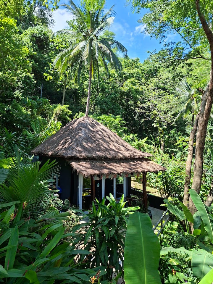 Jungle Beach Cabin Homestay - Philippines