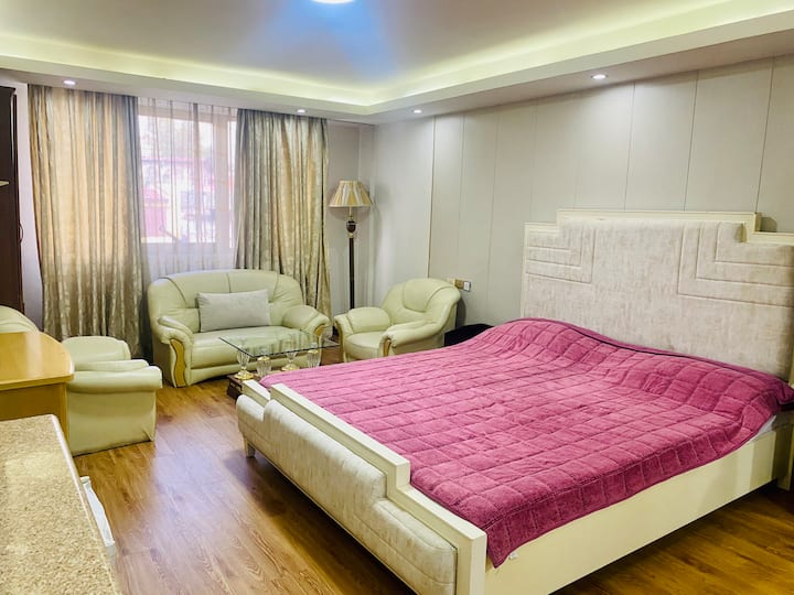 Near Airport Studio Apartment - Addis Ababa