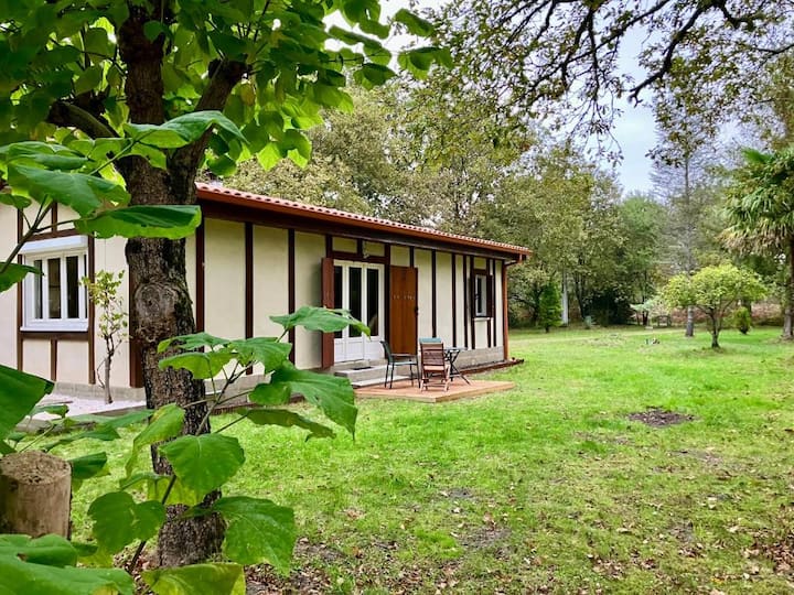 Maison Au Cœur De La Forêt 2-4 Personnes - Lit-et-Mixe