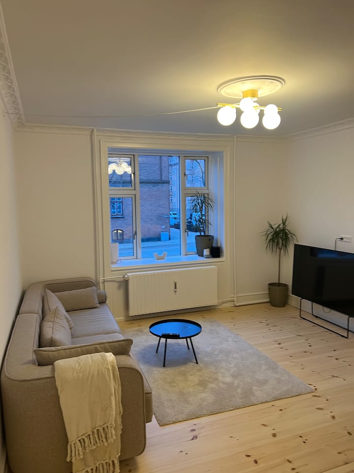 Beautiful, Modern, Central Apartment In Copenhagen - Copenaghen