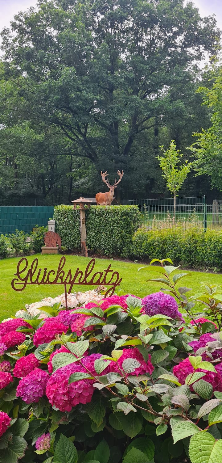 Hirschblick - Gronau (Westfalen)