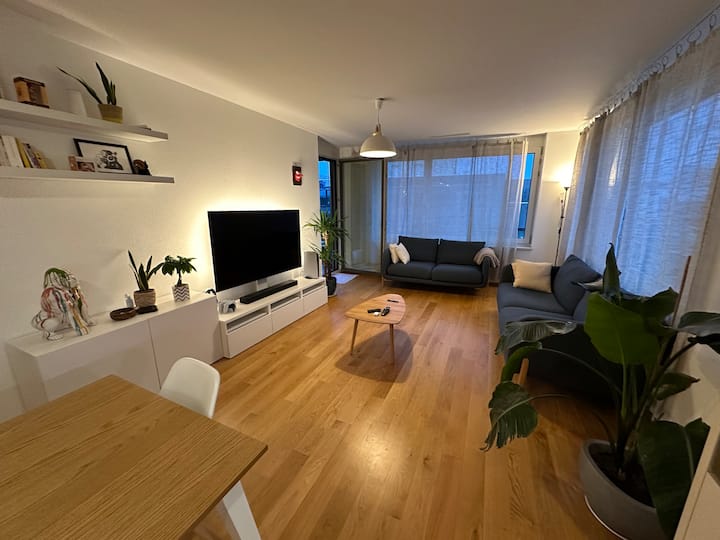 Appartement Confortable - 취리히