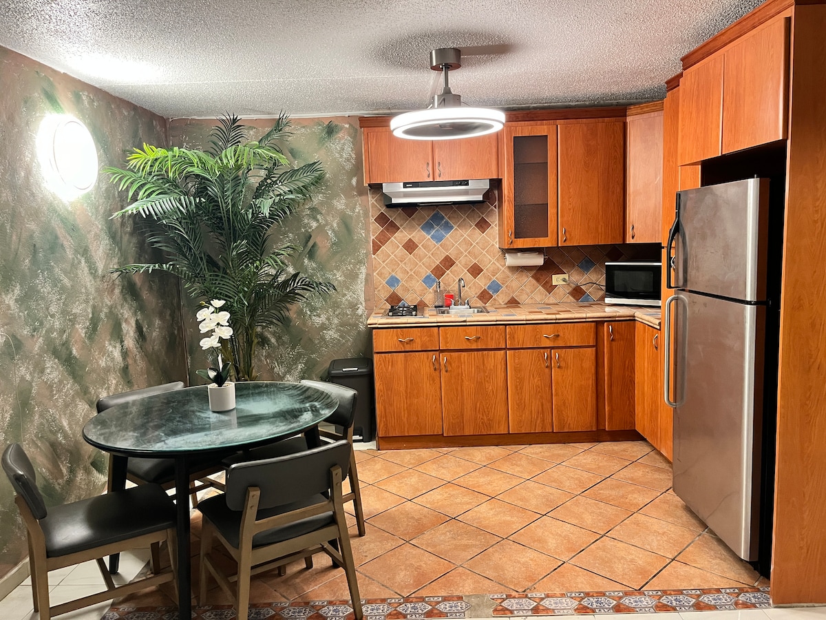 Tropical Relaxing Puerto Rico - Apartments for Rent in San Juan, San ...