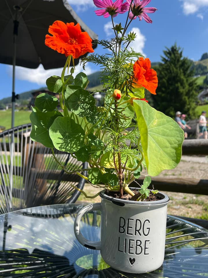 Apartment Bergliebe Saalbach Inkl. Sommerkarte - Saalbach