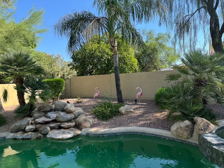 Light Metal - Fountain Hills, AZ