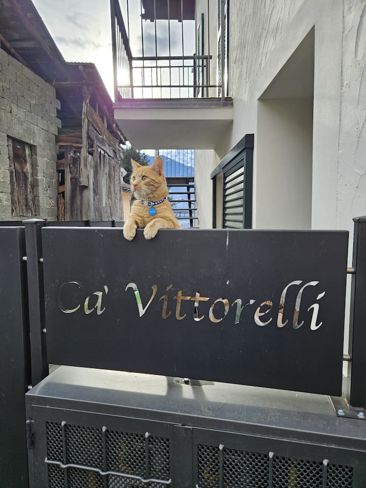 Appartamento Ristrutturato Piano 1 - Teglio