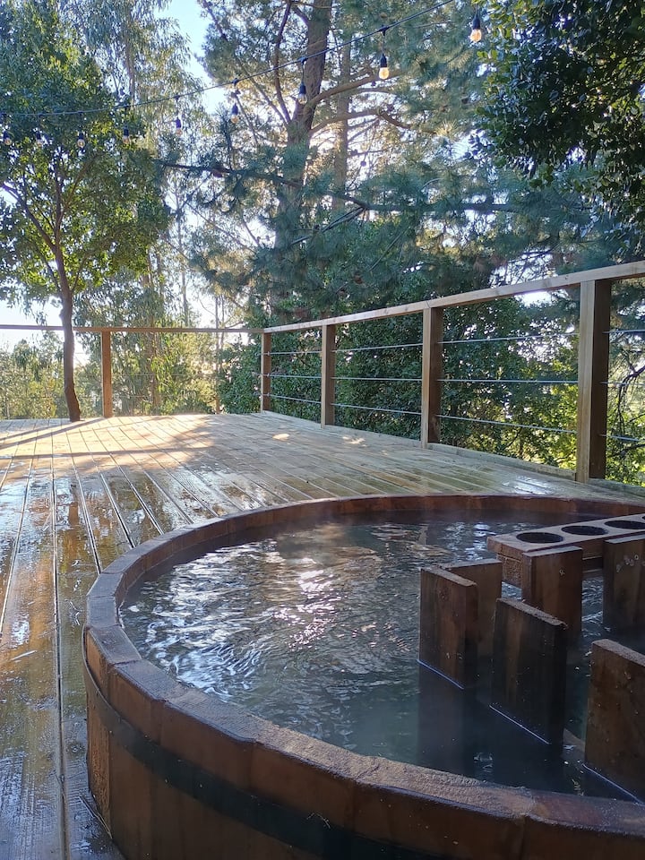 Cabaña Peumo De @Altocuranipe - Pelluhue