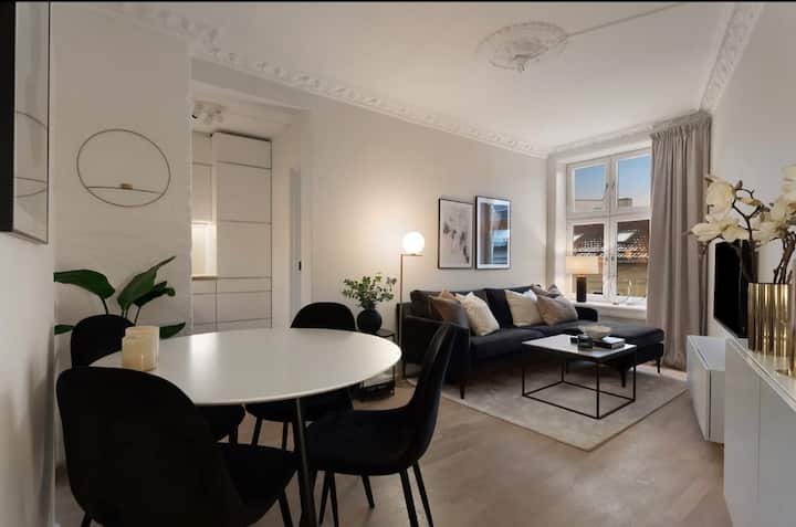 Klassisk Leilighet Med Høy Standard - Oslo