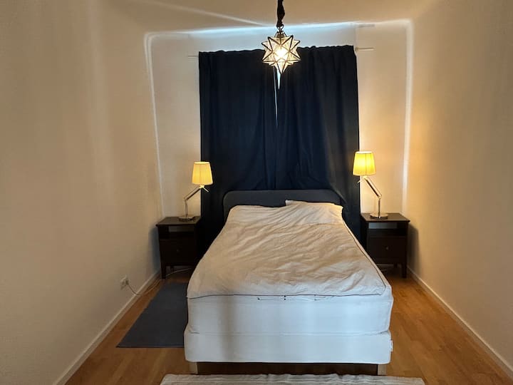 Mitten Im Zentrum Von Wien. - Viena