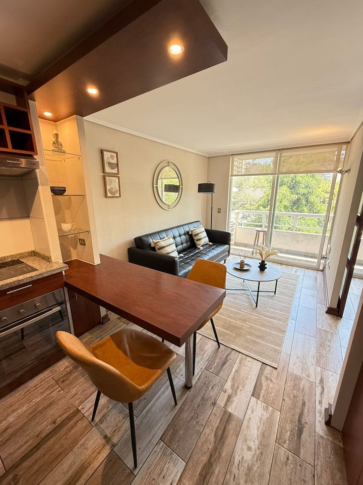 Hermoso Depto. A Pasos De Providencia - Providencia