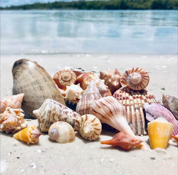 New Ocean Dream Marco Island Private Beach Access! - Marco Island, FL