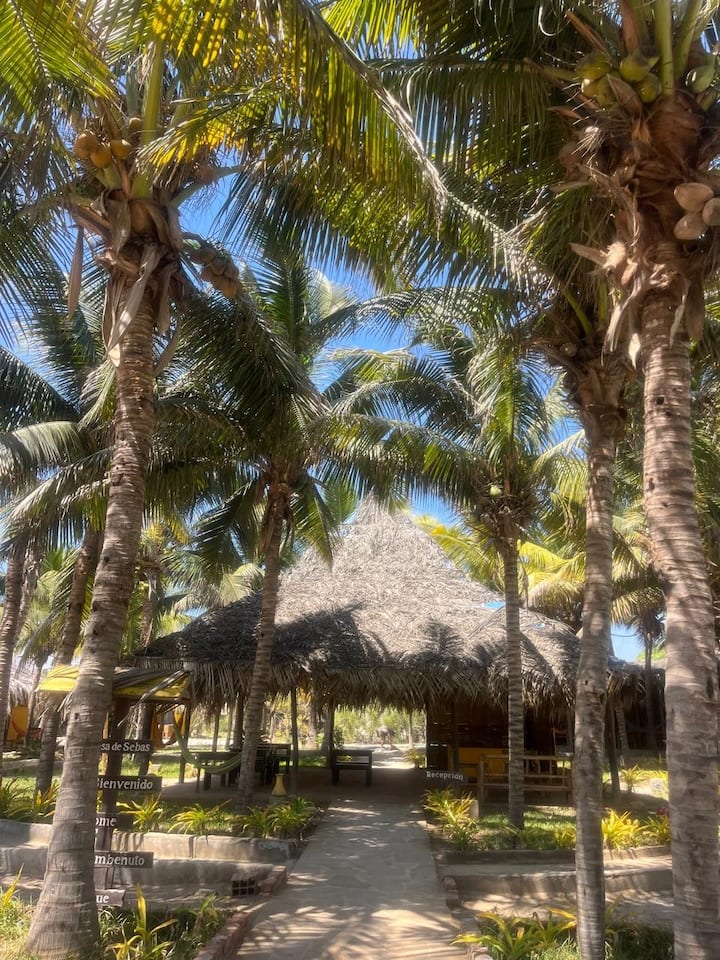 Máncora Beach Club - Surf, Kite & Chill - Máncora
