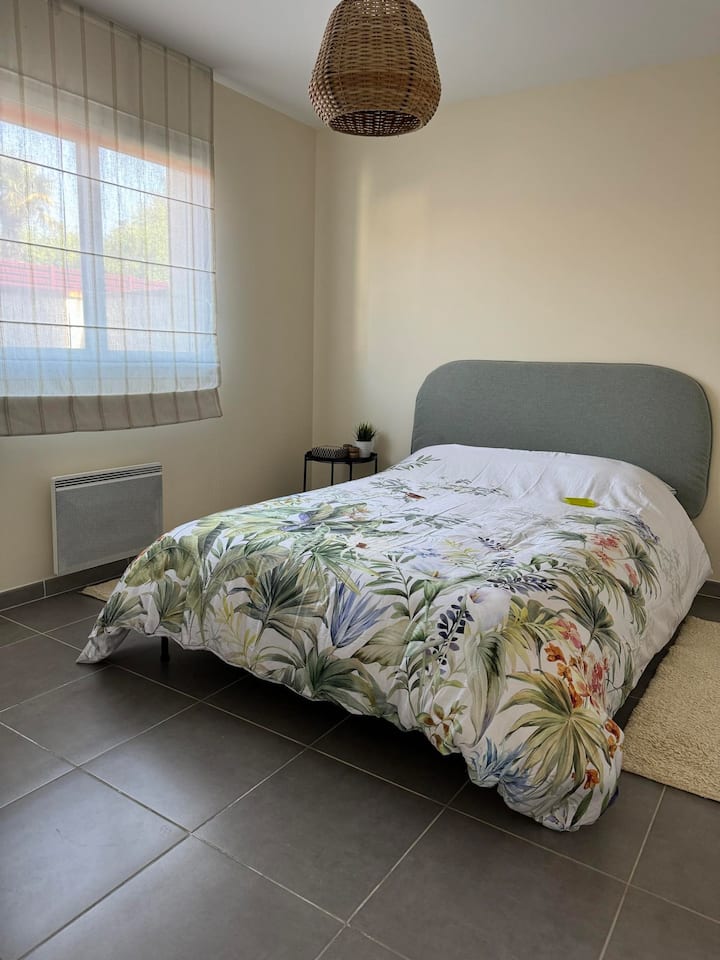 Suite Airbus-airport - Blagnac