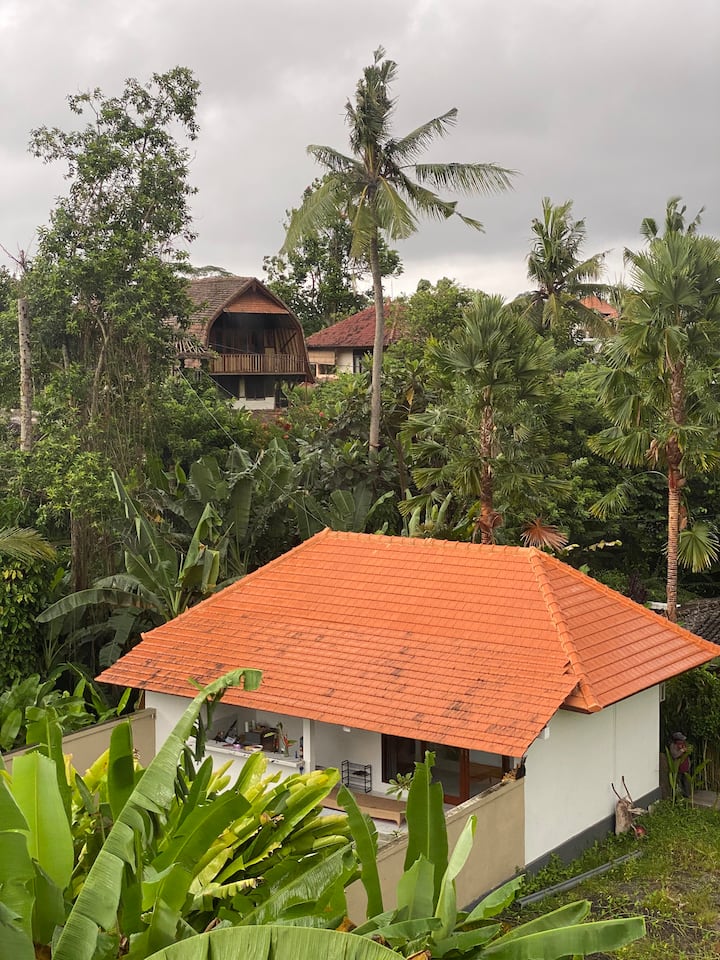 Ubud Jungle View, Private Villa With Pool & Quiet - Ubud