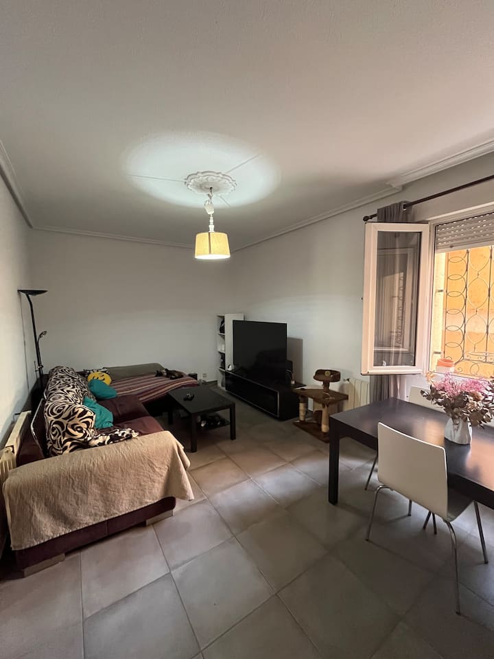 Room In Madrid Center (Host 9 Years Exp.) - Madrid
