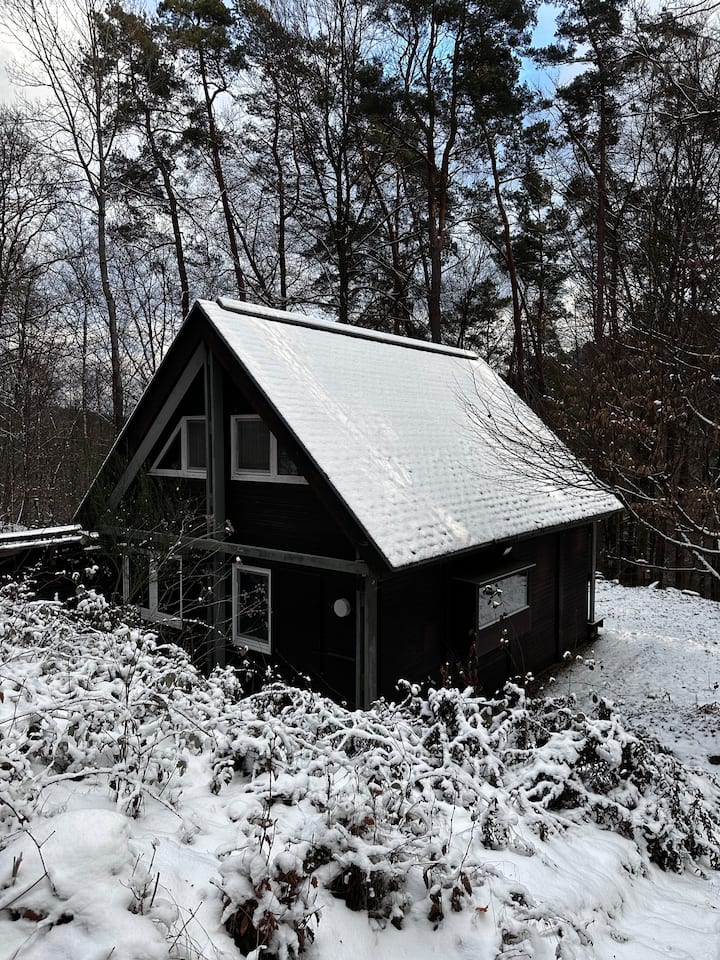 Waldparadies Mit Allem, Was Du Brauchst! - Rheinland-Pfalz
