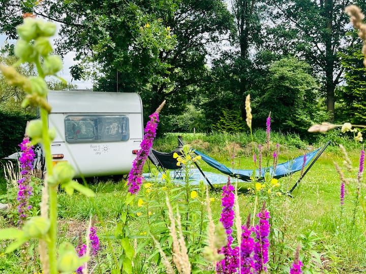 Gepimpte Retrocaravan In Prachtige Tuin - Best