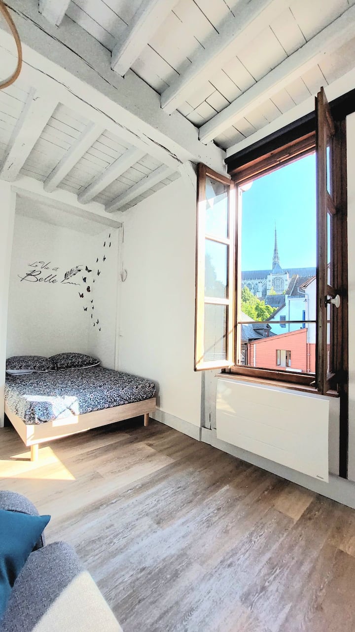 Appartement Vue Cathédrale - Amiens