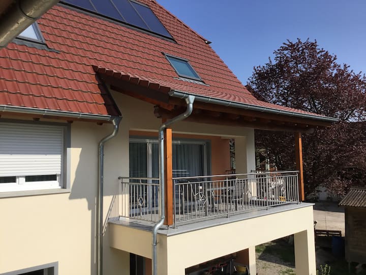 Appartement Avec Terrasse Vue Sur La Rivière - La Wantzenau