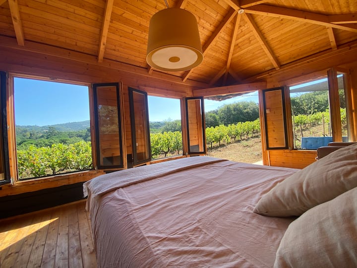 Une Cabane Au Milieu Des Vignes - Ramatuelle