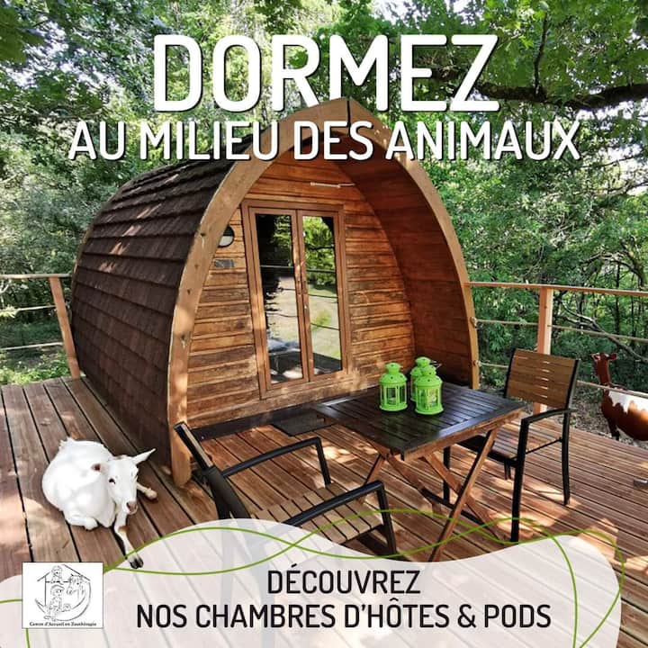Chalet Au Milieu D'alpaga - Ambert